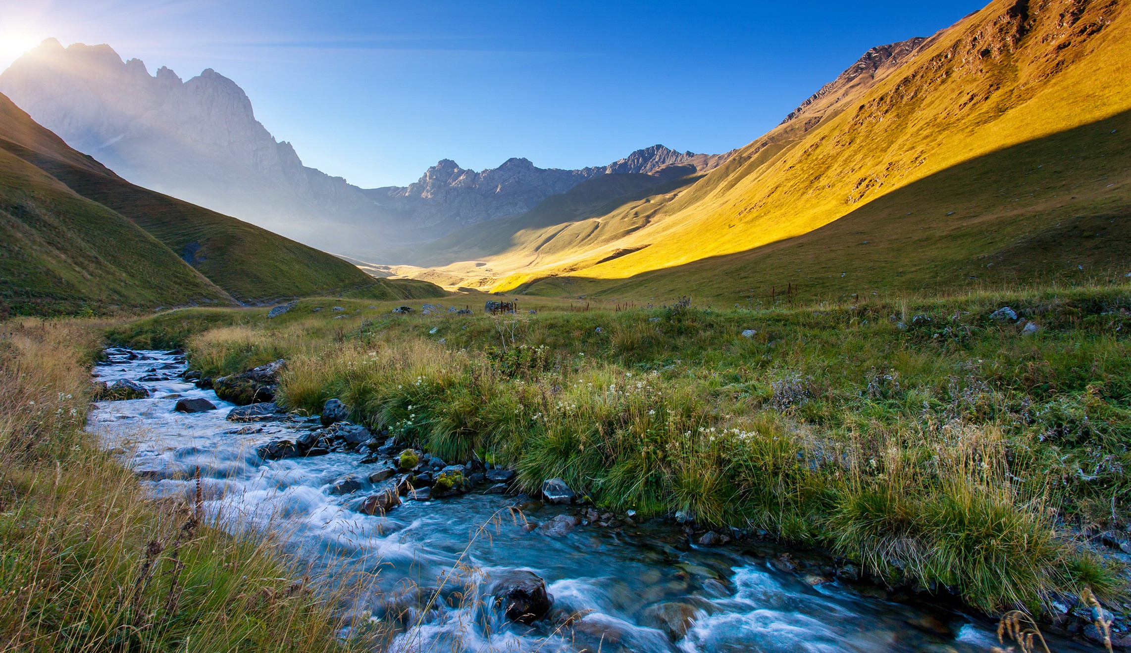 30 years and still learning | Gerald Edelman