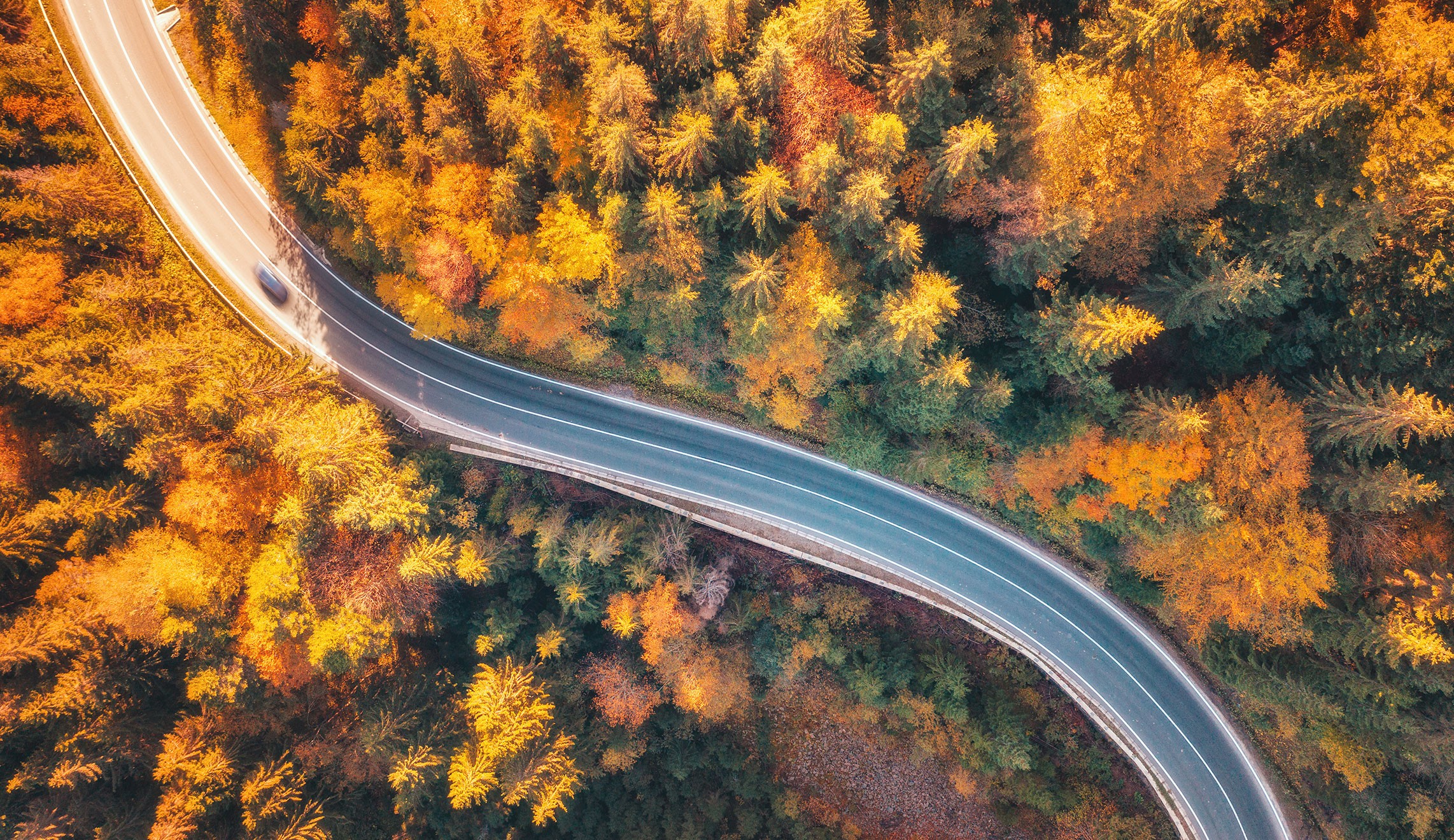 Gerald Edelman welcomes new audit partner | Gerald Edelman