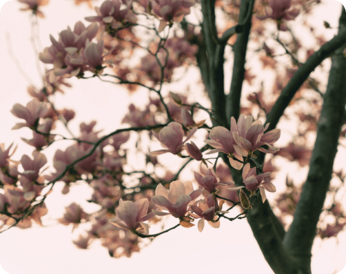 Who We Are | Gerald Edelman