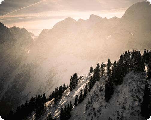 Who We Are | Gerald Edelman