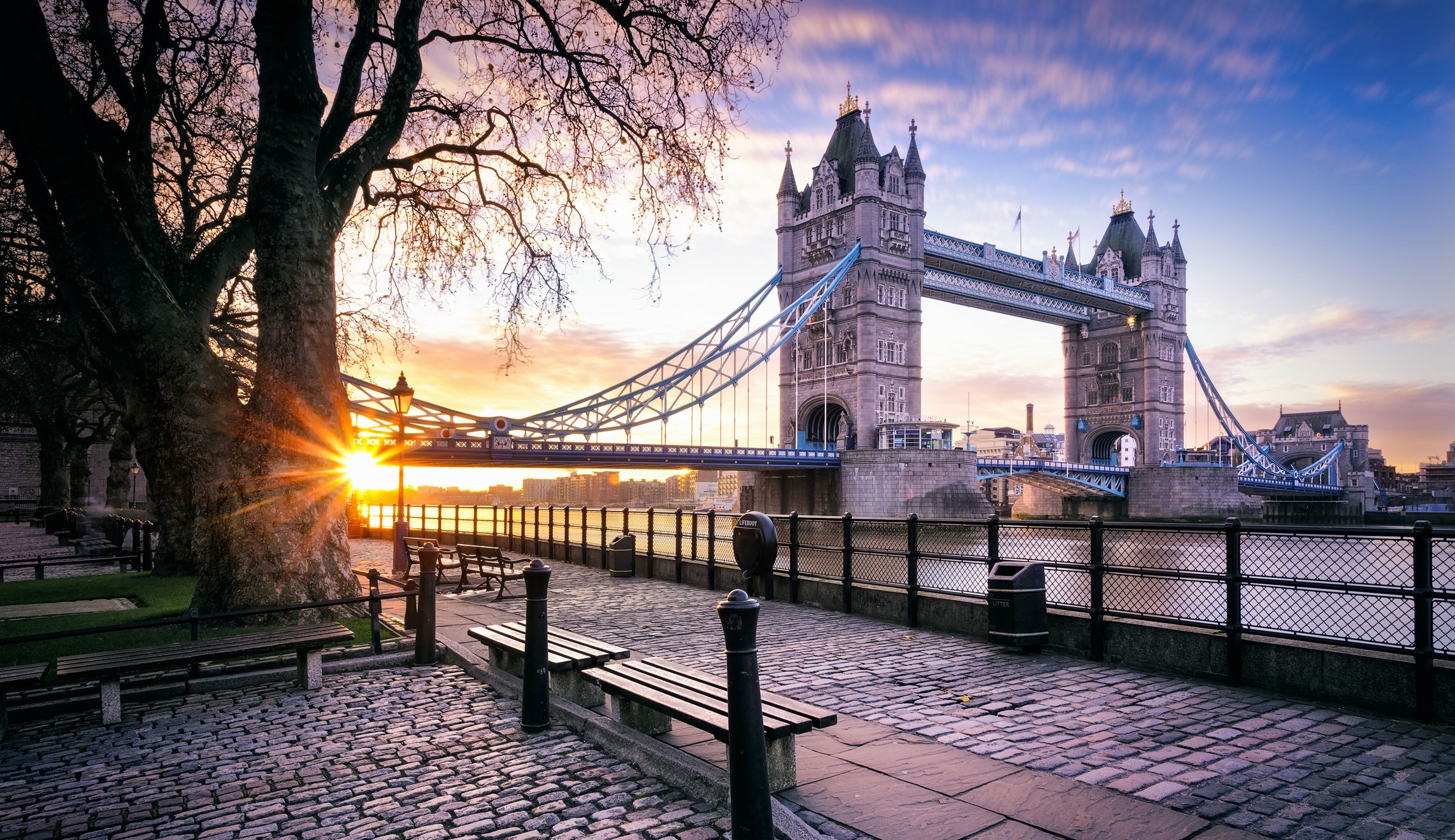 Gerald Edelman appoints Lynn Lin as Partner and Head of Asia | Gerald ...